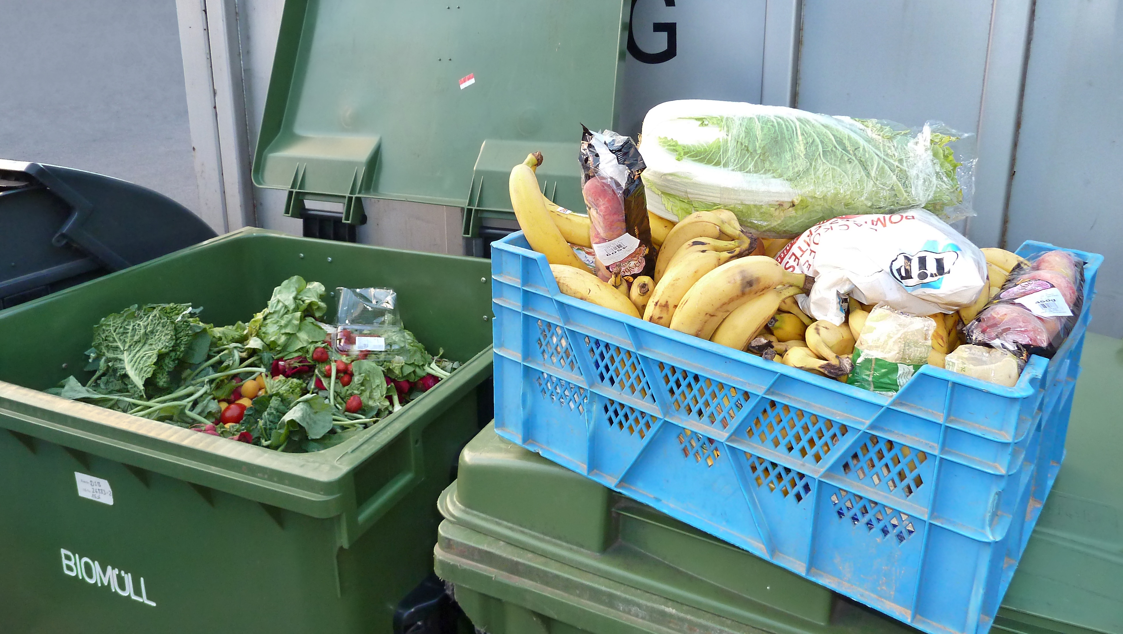 Dumpster Diving Food