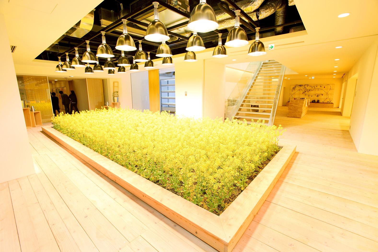 Pasona Urban Farm: This Tokyo-based company is growing food for their ...